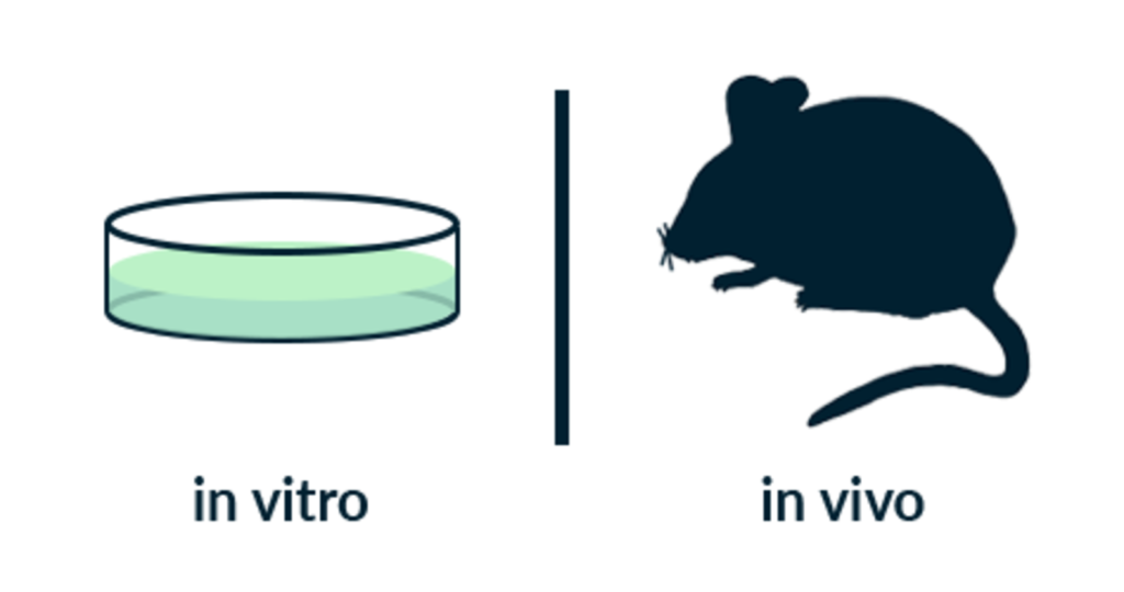 In Vitro vs In Vivo Potency Assays: Modern Vaccine Batch Release